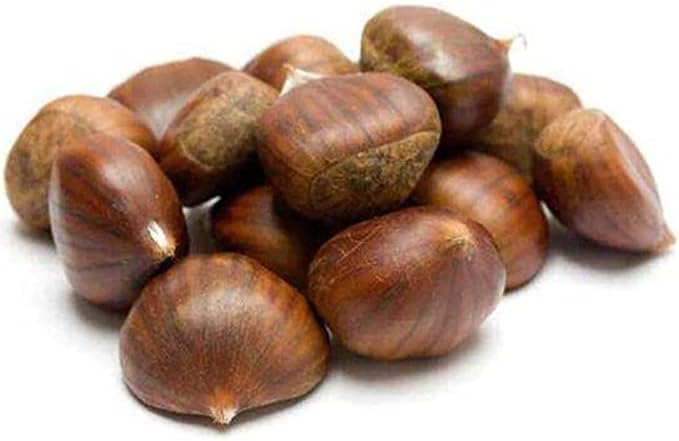 MISS LOREN Turkish Premium Chestnut, Fresh Raw Turkish Chestnuts, Large ...