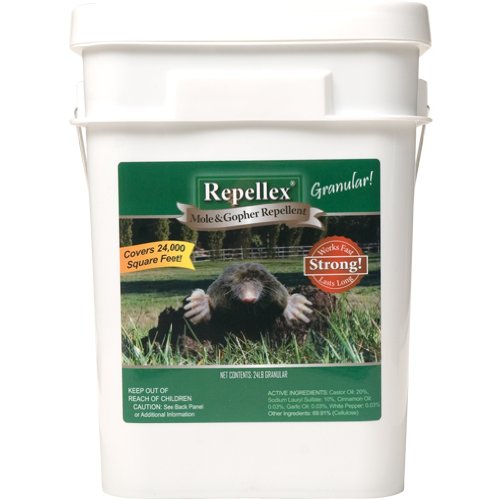 Happy Haute Home's Amazon Page