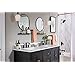 Moen Genta Matte Black Modern 6.8-Inch Length Hand-Towel Bar for ...