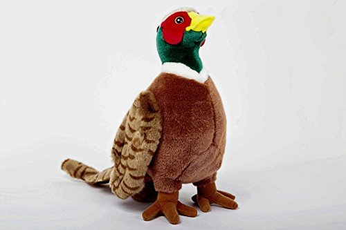 Buy Pheasant Plush Toy 12" High Online at Low Prices in India - Amazon.in