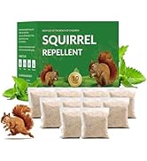 Amazon.com: 10 Pack Squirrel Repellent Outdoor, Chipmunk Repellent ...