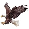 Amazon.com - Bald Eagle Vinyl Sticker - in Action Landing Catch Prey ...