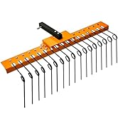 Amazon.com : LTSEAME 48" Durable Pine Straw Rake Steel Spring Landscape ...