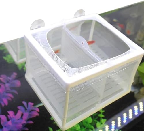 Qpets® Fish Breeding Box, Isolation Box for Betta Fish, Small Fish ...