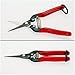 ARS Fruit Picking Shears - 190mm | Garden Scissors for Fruit Picking ...