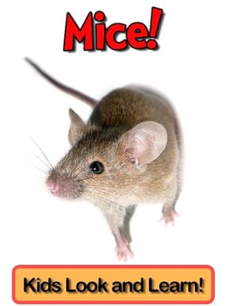 Mice! Learn About Mice and Enjoy Colorful Pictures - Look and Learn ...