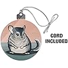 Amazon.com: GRAPHICS & MORE Cute Chinchilla Acrylic Christmas Tree ...