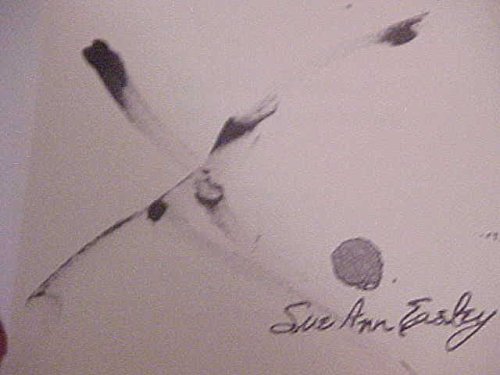 The Bird With the Broken Wing: Sue Ann Easley: Amazon.com: Books