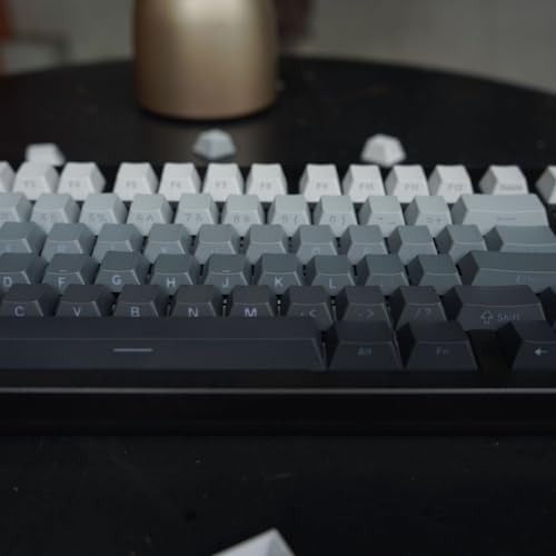 mintcaps PBT Doubleshot Backlit Keycaps Gradient Gray OEM Profile ...