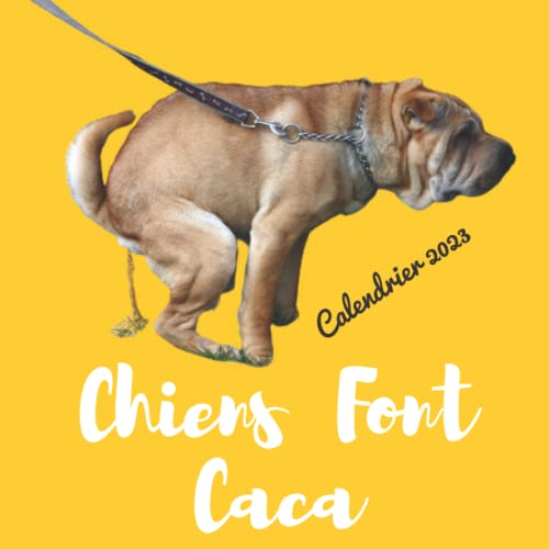 Amazon.fr Les meilleures ventes: Les articles les plus populaires dans ...