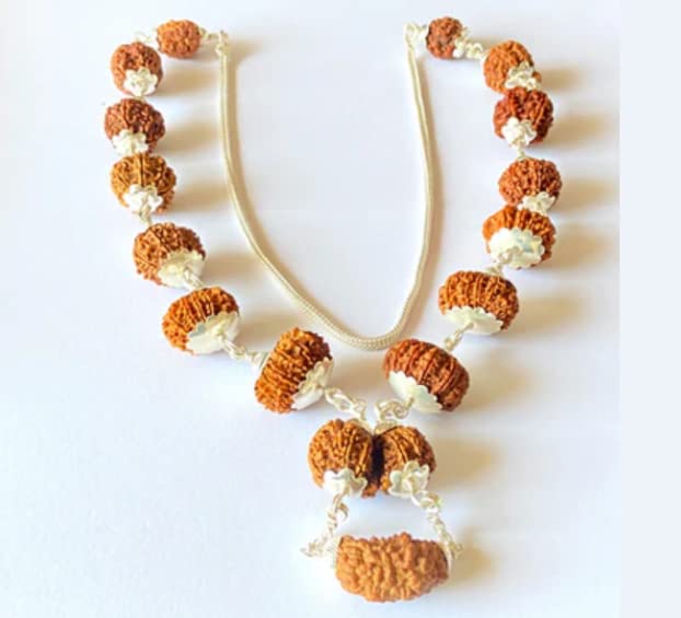 Golden Gems Real Sarva Siddha Mala Nepal 1 To 14 Mukhi Rudraksha Mala ...