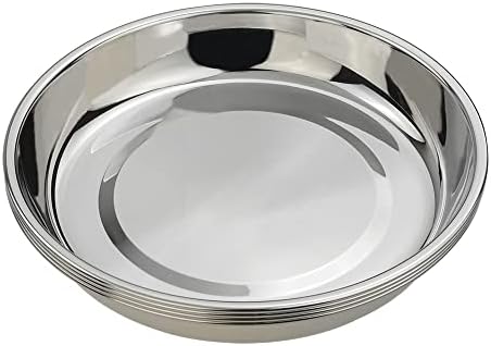 Amazon.com | Zerdyne 4-Pack Small Stainless Steel Dinner Plate, Round ...