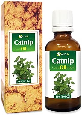 Amazon.com: Catnip (Nepeta cataria) Essential Oil Pure & Natural ...
