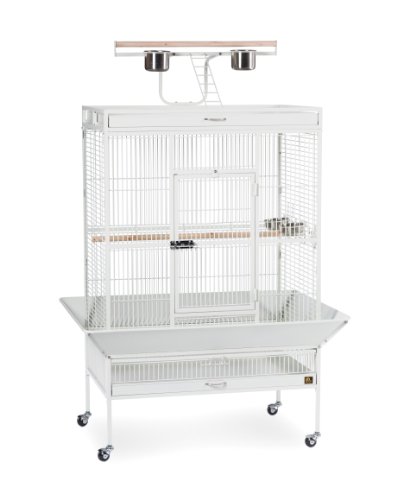 5 Best Parrot Cages in 2023: Reviews & Top Picks | Pango Pets