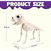 Amazon.com: JOYIN Posable Halloween Dog Skeleton Full Body Posable ...