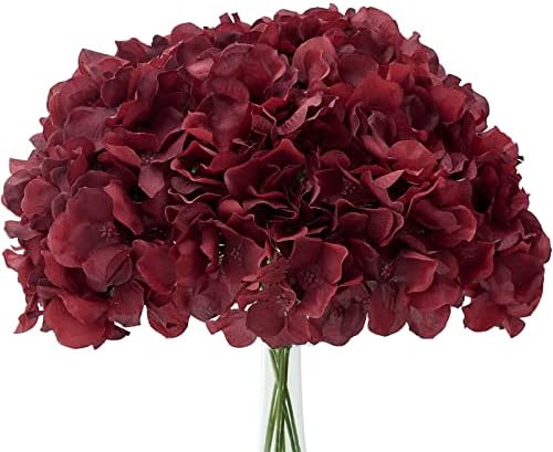 Katty Ferretti's Amazon Page