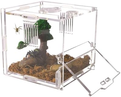 JHCYULUO Acrylic Jumping Spider Enclosure, Small Reptile Terrarium ...