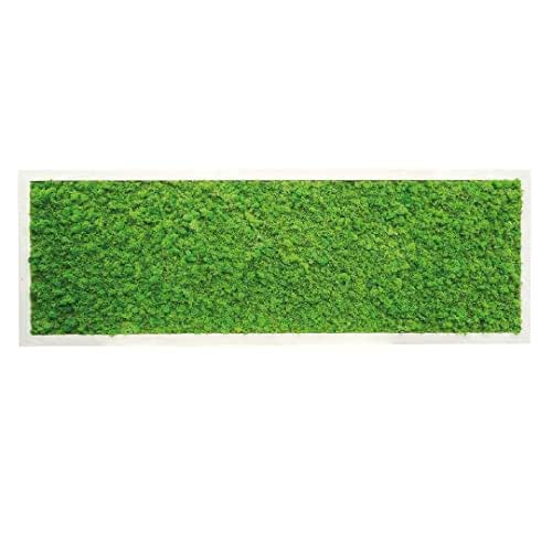 Quadro in Muschio Stabilizzato 180x60 cm con Lichene Premium - Cornice ...