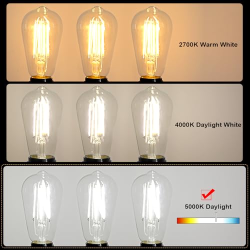 Ascher Vintage LED Edison Bulbs, 6W, Equivalent 60W, Non-Dimmable ...
