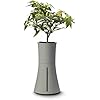 Botanium Indoor Hydroponic Herb and Plant Growing System, Ash Grey ...