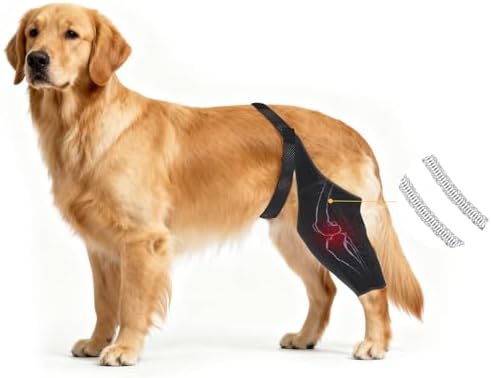 Amazon.com : Snugrance Dog Knee Brace, Dog Back & Front Leg Brace, Dogs ...