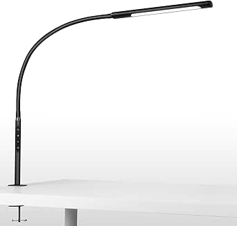 EYOCEAN Desk Lamp, LED Desk Lamp Desk Light with Flexible Gooseneck 12W ...