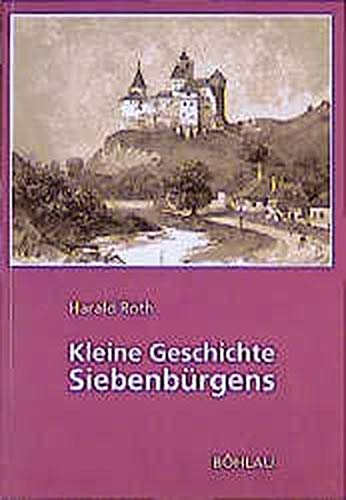 Kleine Geschichte Siebenbürgens (Forschungen und Quellen zur Kirchen ...