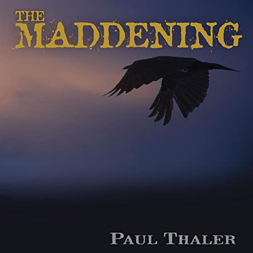 Amazon.com: The Maddening (Audible Audio Edition): Paul Thaler, Richard ...