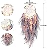 Amazon.com: KHOYIME LED Dream Catcher Light Up Handmade Feather ...