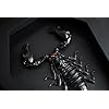 Amazon.com - Real Large Scorpion Beetle Coffin Black Frame Gothic Decor ...