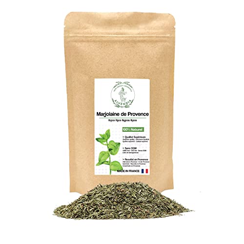 ¿Mejorana o orégano? Conoce las diferencias y usos - Mi Hogar