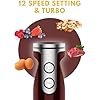 Amazon.com: MEGAWISE new Hand Blender Series Single Hand Blender,no ...