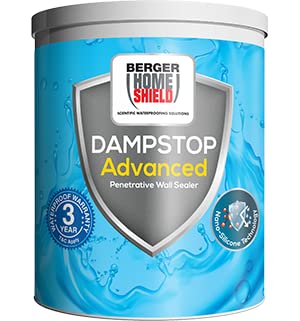 berger damp stop duo : Amazon.in: Home Improvement