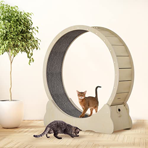 10 Best Hoiru Cat Wheels for Happy and Healthy Felines! - Furry Folly