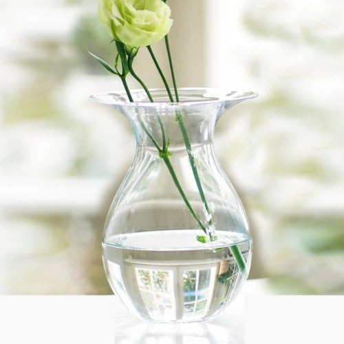 Holmegaard SHAPE Vase, Large, Clear : Amazon.co.uk