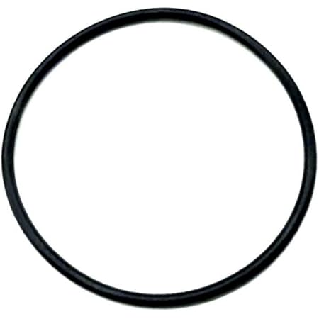 Amazon.com: Hayward GMX600F Valve O-Ring Replacement for Hayward S144T ...