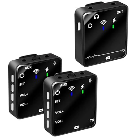 AUSHA® Dual Channel Wireless Microphone System Portable Lavalier Mic ...