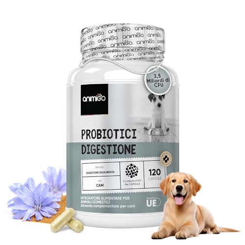 La gastrite nei cani: cos’è, come si previene e come si cura. - Expodog ...