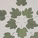 【発売日：2026年04月17日】・製造元:12183847 Records DK