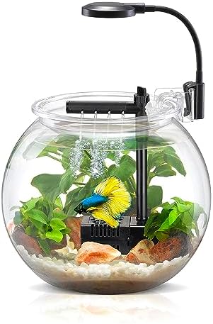 Nubios Betta Bowl Starter Kit with Pump Filter and LED Lighting High ...