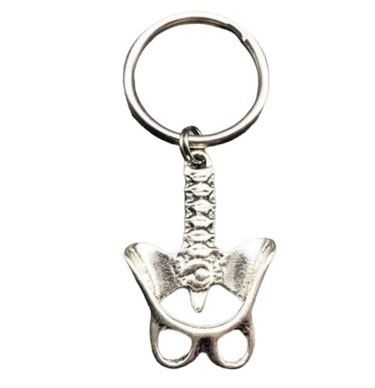 Amazon.com: Spine and Pelvis Keychain, Chiropractor, Graduation Gift ...