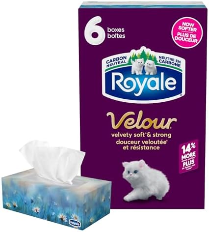 Royale Velour 3 Ply Facial Tissue, 6 Tissue Boxes, 82 Tissues per Box ...