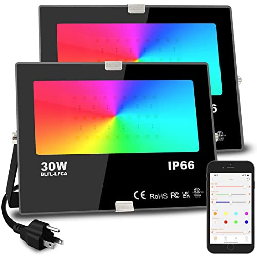 Best Colored Flood Lights
