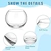 Amazon.com: Zopeal 24 Pcs Fish Bowl Vase Glass Bubble Bowl Globe Glass Clear Bubble Vase Round ...