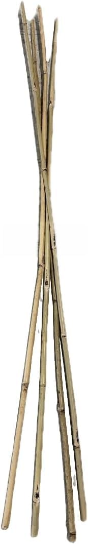 Amazon.com : Farm Plastic Supply - Bamboo Garden Stakes - Bambo Sticks ...