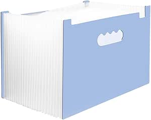 Amazon.com : Accordian File Organizer, 25 Pockets Expanding File ...