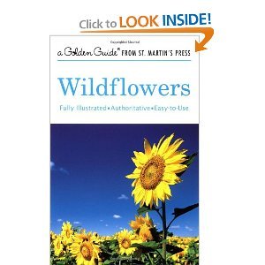 Wildflowers - A Guide to Familiar American Flowers (Golden Guide): St ...
