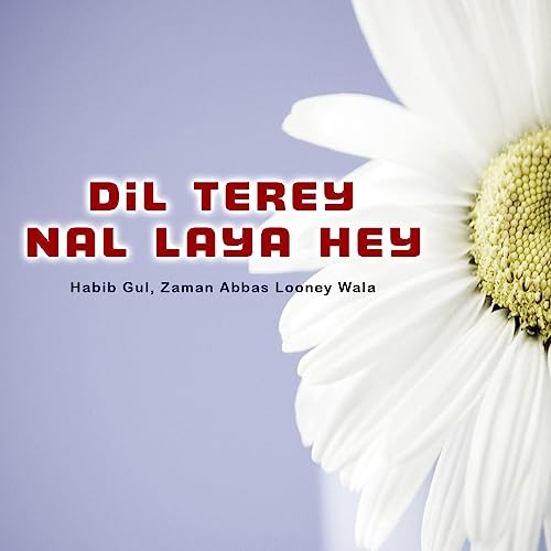 Écouter Dil Terey Nal Laya Hey par Habib Gul & Zaman Abbas Looney Wala ...
