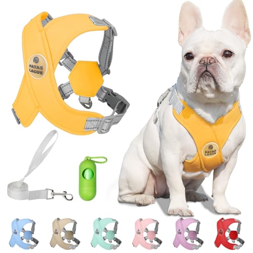 Yellow Dog Harness – The 15 best products compared - Wild Explained