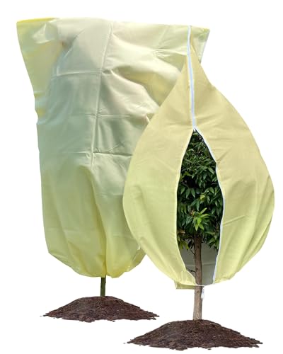 How To Protect Plants From Frost? – 11 Things You Must Be Doing